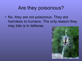 Writing Spiders | PPT | Biological Sciences | Science