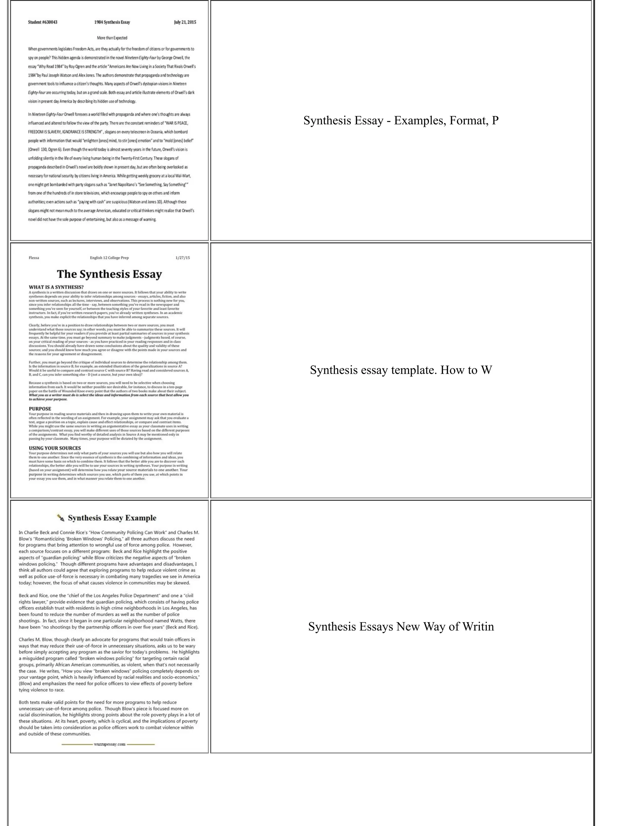 Writing Synthesis Essay | PDF