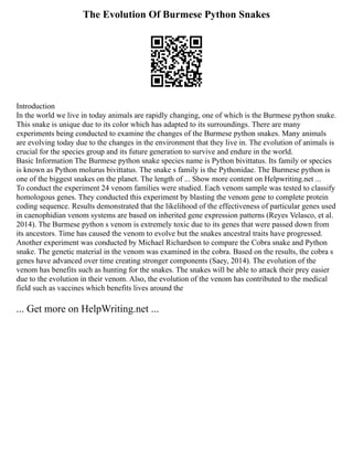 Writing The Personal Statement | PDF