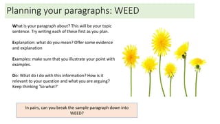 Writing your essays at l7 jhm | PPTX