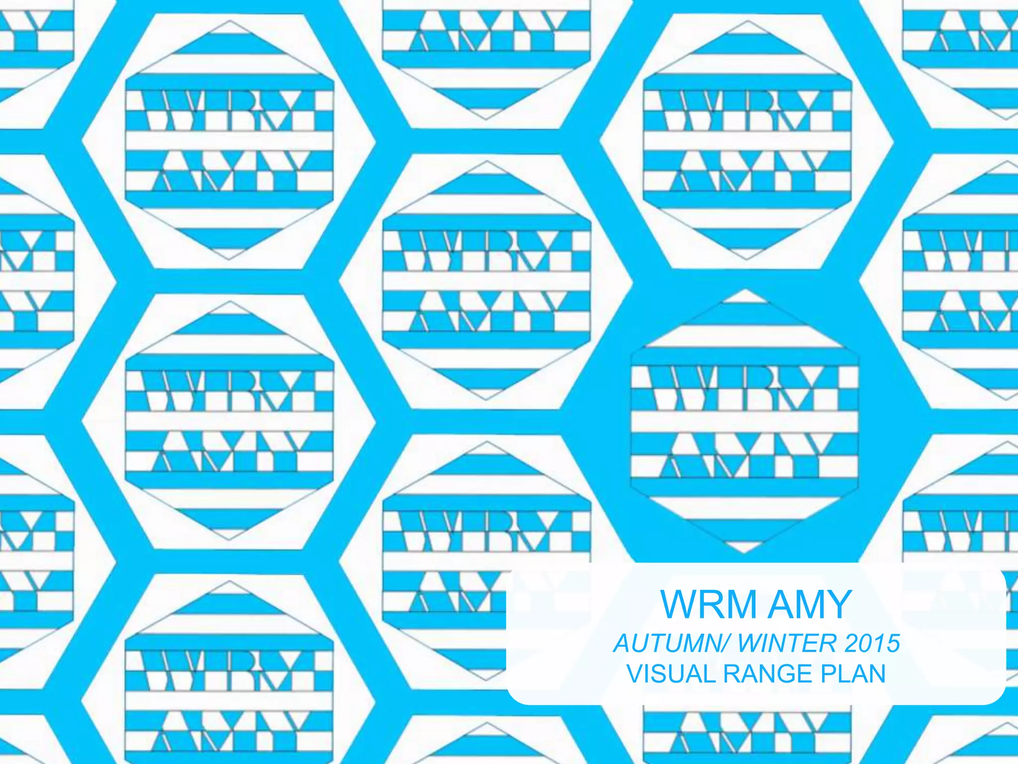 UNIT 6 FMP: WRM AMY VISUAL RANGE PLAN | PPT