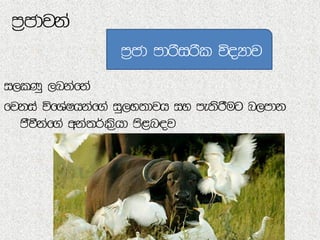 Wrmg 1 ecosystem concept | PPT