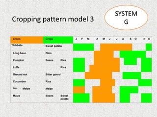 Wrmg 9 cropping pattern and systems | PPT