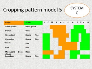 Wrmg 9 cropping pattern and systems | PPT