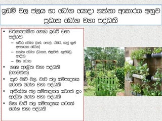 Wrmg 9 cropping pattern and systems | PPT