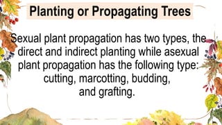 GRADE_6_QTR1_WEEK_3_TLE_AGRICULTURE.pptx