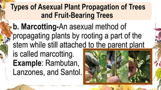 GRADE_6_QTR1_WEEK_3_TLE_AGRICULTURE.pptx