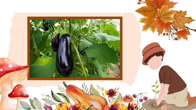 GRADE_6_QTR1_WEEK_3_TLE_AGRICULTURE.pptx