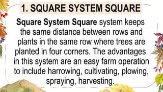GRADE_6_QTR1_WEEK_3_TLE_AGRICULTURE.pptx