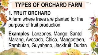 GRADE_6_QTR1_WEEK_3_TLE_AGRICULTURE.pptx