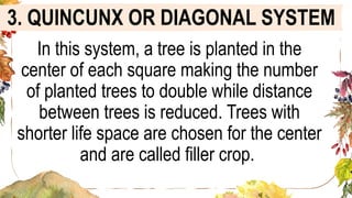 GRADE_6_QTR1_WEEK_3_TLE_AGRICULTURE.pptx