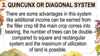 GRADE_6_QTR1_WEEK_3_TLE_AGRICULTURE.pptx
