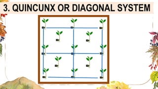 GRADE_6_QTR1_WEEK_3_TLE_AGRICULTURE.pptx