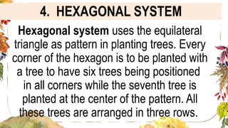 GRADE_6_QTR1_WEEK_3_TLE_AGRICULTURE.pptx