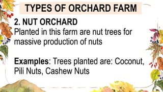 GRADE_6_QTR1_WEEK_3_TLE_AGRICULTURE.pptx