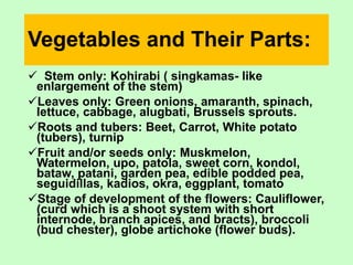 vegetable growing idea powerpoint presentation.pptx