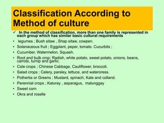 vegetable growing idea powerpoint presentation.pptx