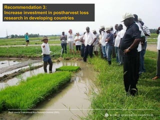 Reducing Food Loss and Waste: Creating a Sustainable Food Future ...