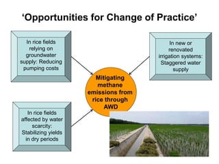 Wetting and Drying: Reducing GHG Emissions and Saving Water from Rice ...