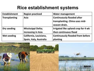 Wetting and Drying: Reducing GHG Emissions and Saving Water from Rice ...