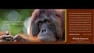 Wildlife Conservation Campaign | PPTX