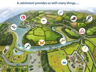 Ecosystem Service Benefits in the Urban Environment | PPT