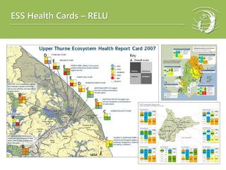 Ecosystem Service Benefits in the Urban Environment | PPT