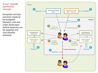 Ecosystem Service Benefits in the Urban Environment | PDF