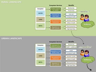 Ecosystem Service Benefits in the Urban Environment | PPT