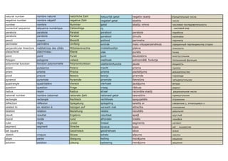 Wörterbuch comenius 7 sprachen5 | PDF