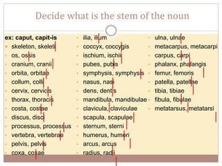 Medical Terminology lecture in details.. | PPT