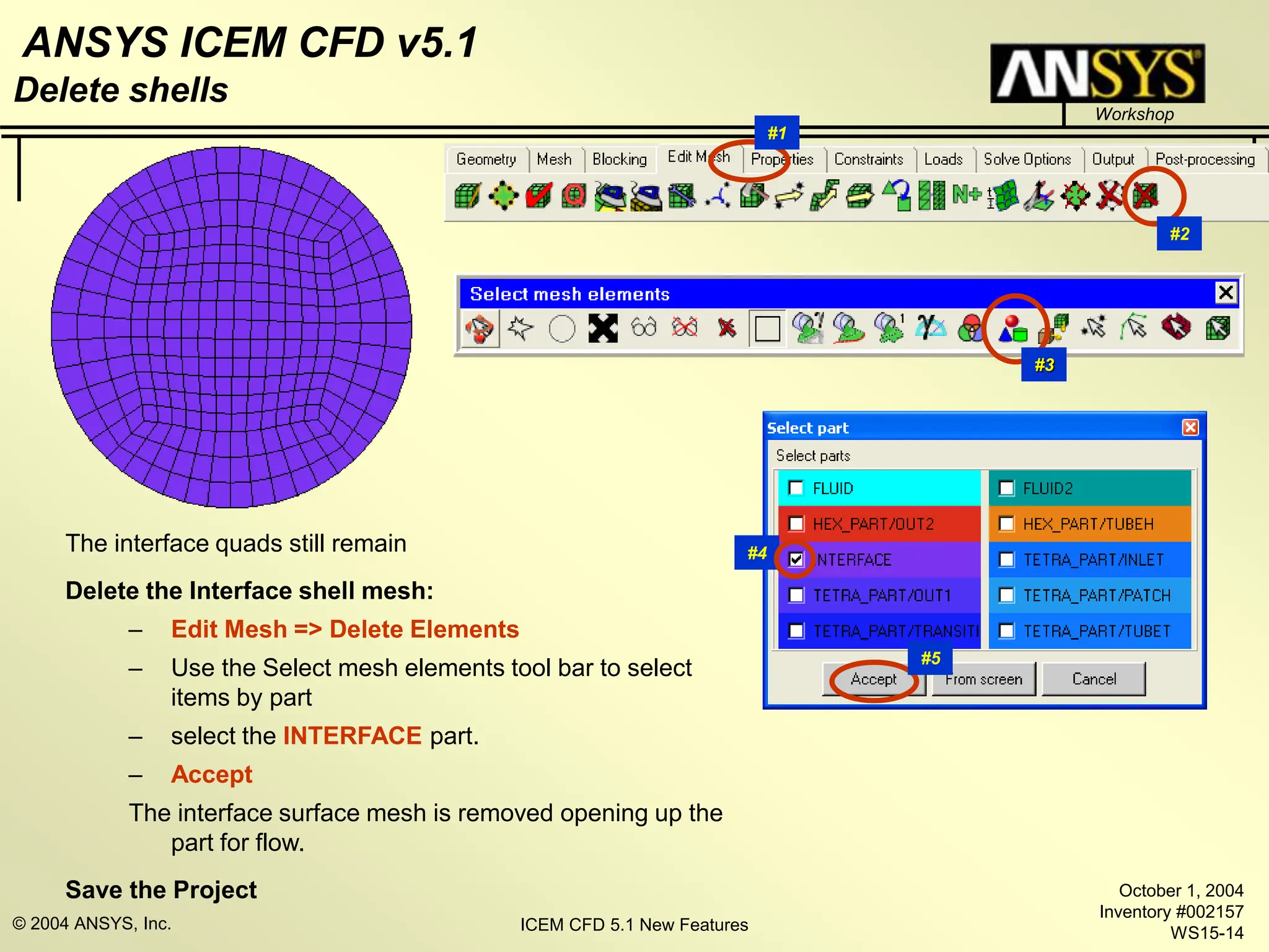 ICEM CFD hybrid meshing tutorial presentation | PPT