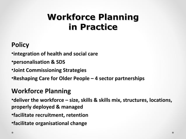 Workforce Planning in Practice (WS22) | PPT | Free Download