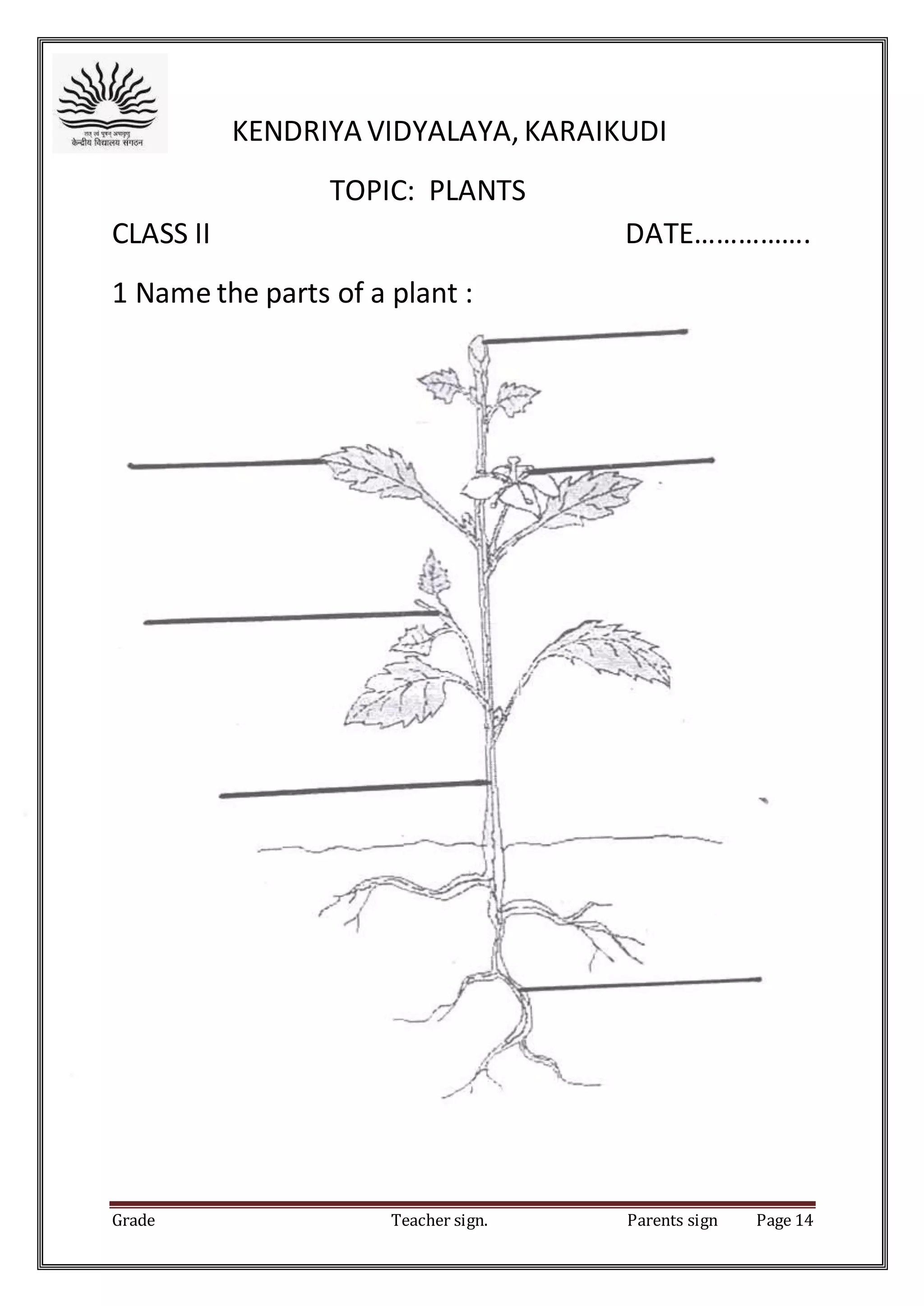 WORKSHEETS | DOCX