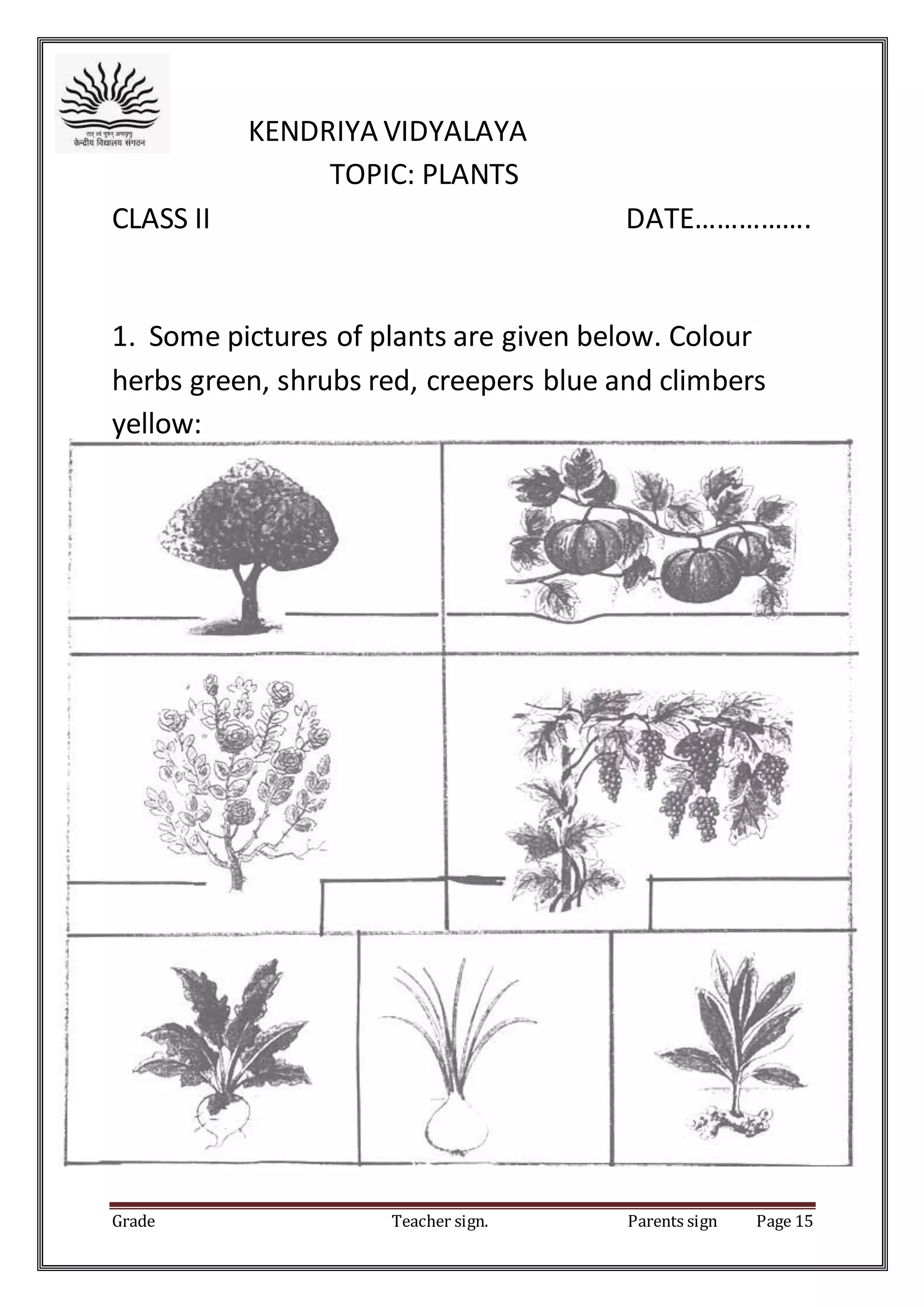 CLASS II EVS WORKSHEETS | DOCX