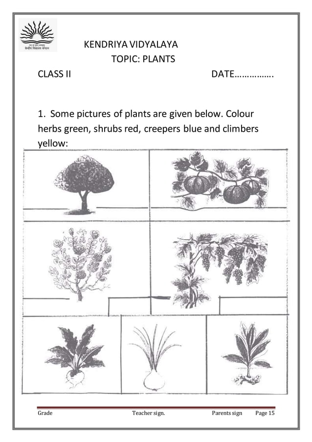 CLASS II EVS WORKSHEETS | DOCX
