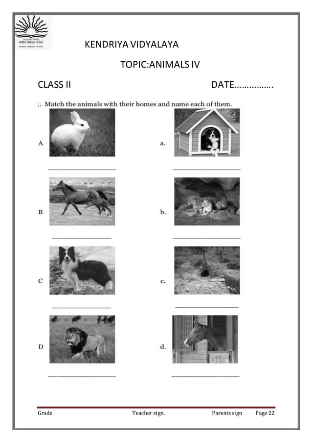 CLASS II EVS WORKSHEETS | DOCX
