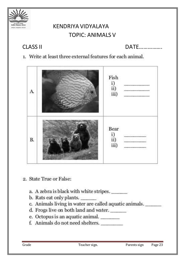 CLASS II EVS WORKSHEETS | DOCX