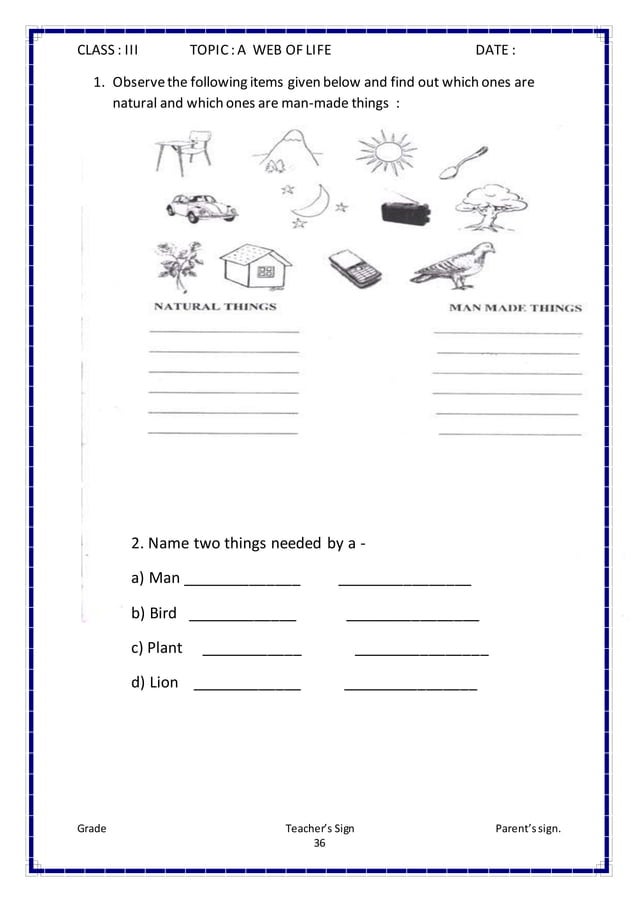 CLASS III EVS WORKSHEETS | PDF