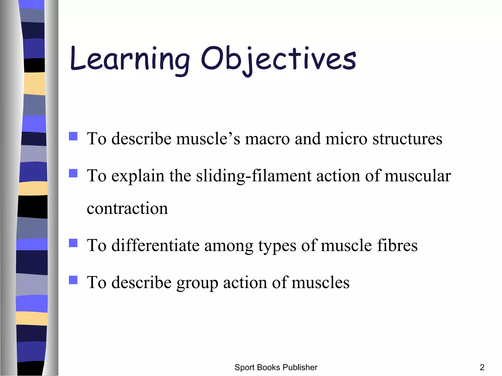 muscle structure_and_function | PPT | Biological Sciences | Science