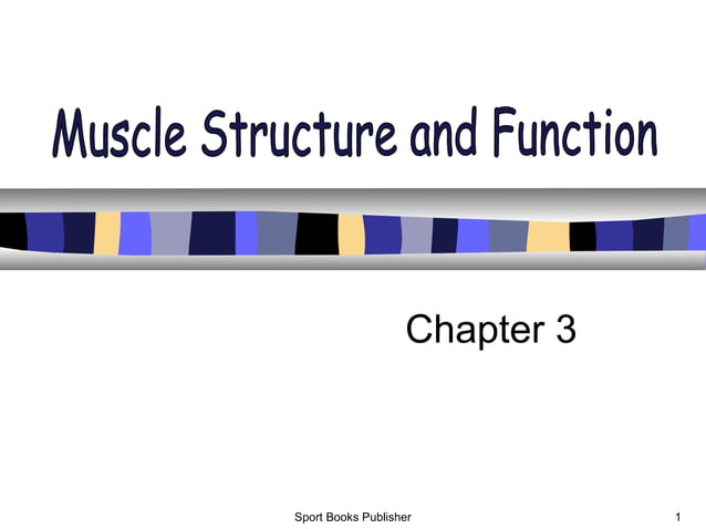 muscle structure_and_function | PPT | Biological Sciences | Science