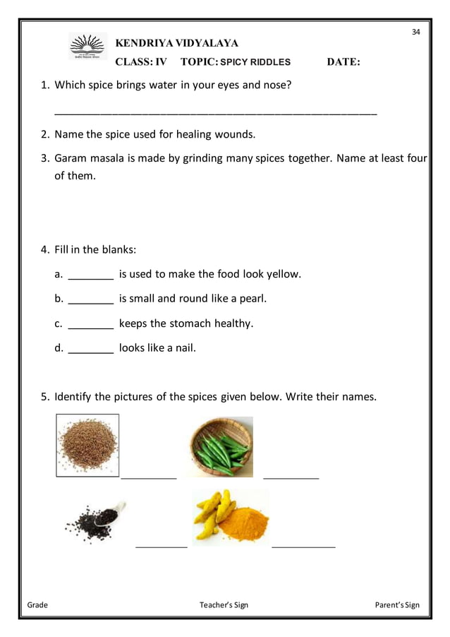 CLASS IV EVS WORKSHEETS | DOCX | Reptiles | Pets