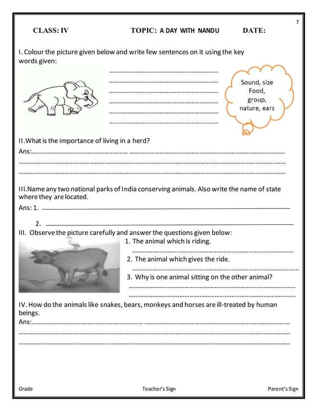 CLASS IV EVS WORKSHEETS | DOCX | Reptiles | Pets