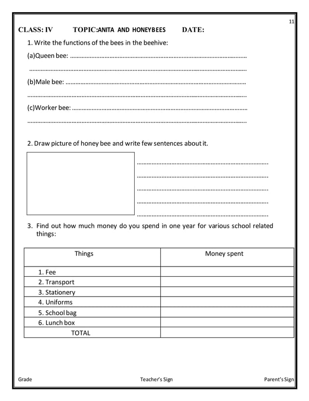 CLASS IV EVS WORKSHEETS