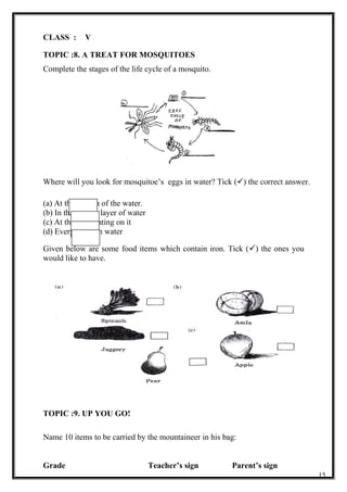 CLASS V EVS WORKSHEETS | DOC