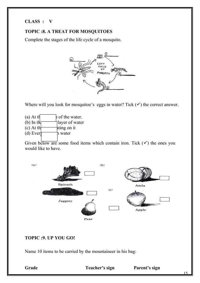 CLASS V EVS WORKSHEETS | DOC | Gardening | Home & Garden
