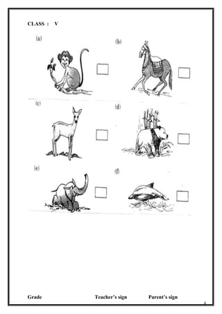 CLASS V EVS WORKSHEETS | DOC