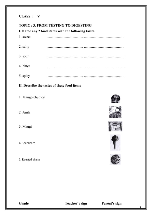 CLASS V EVS WORKSHEETS | DOC | Gardening | Home & Garden