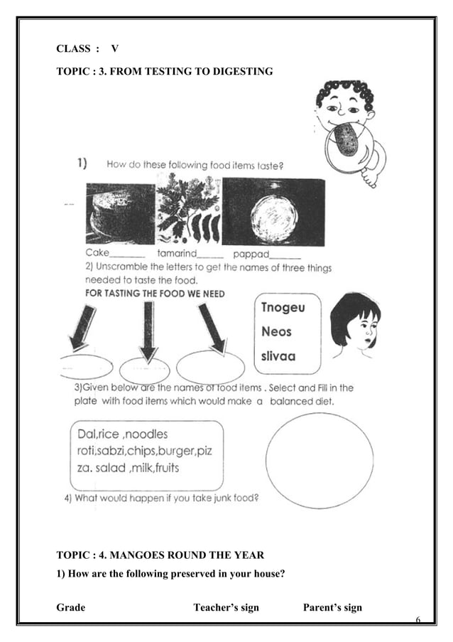 CLASS V EVS WORKSHEETS | DOC | Gardening | Home & Garden