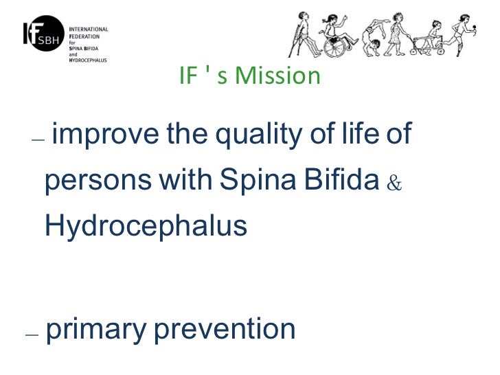 Workshop 7 Presentation Of The International Federation For Spina